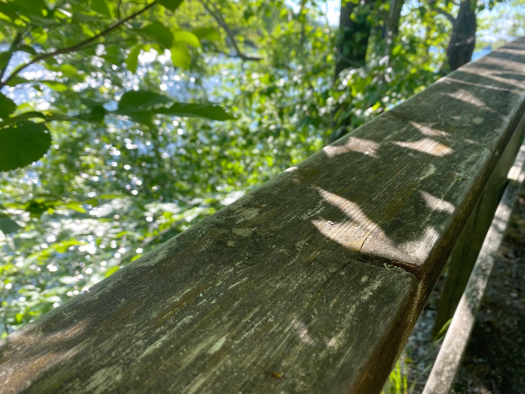 Något skaver på ett knepigt sätt - KAMILLAS KAMERA